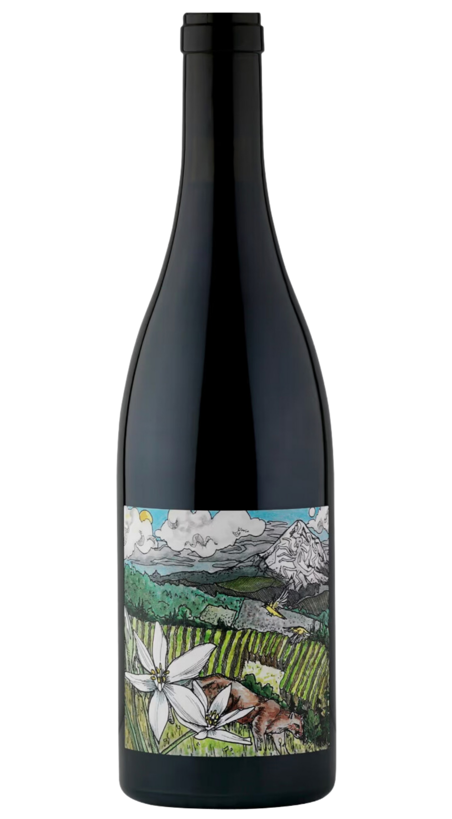 Vin Chicago - Fine wine stores in Chicago, Highland Park & Barrington